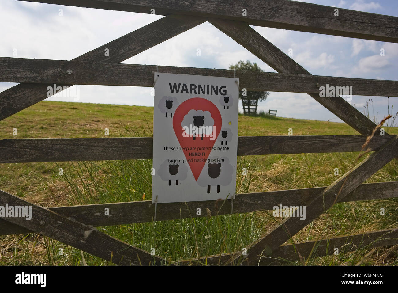 Warning - these sheep are protected by Herd It tagging and tracking ...