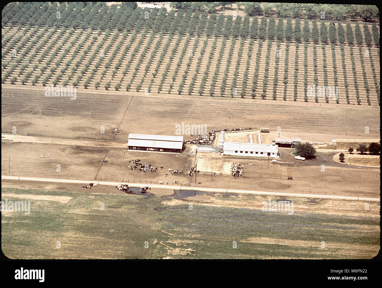 Citrus ranch hi-res stock photography and images - Alamy