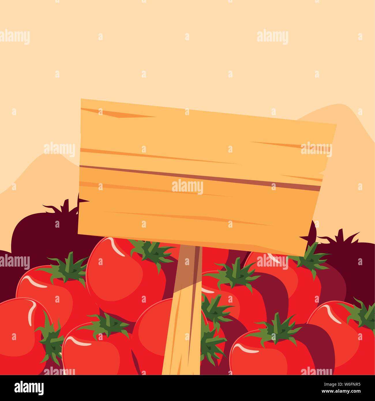 tomatoes fresh vegetable farm wooden placard vector illustration Stock ...
