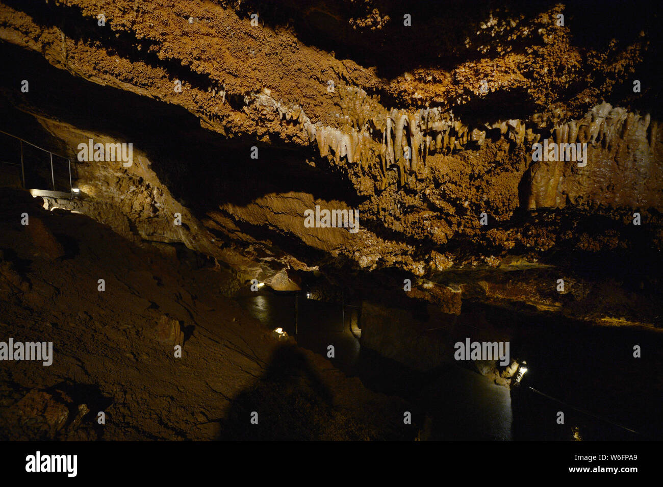 Koneprusy, Czech Republic. 31st July, 2019. A part of the Koneprusy ...