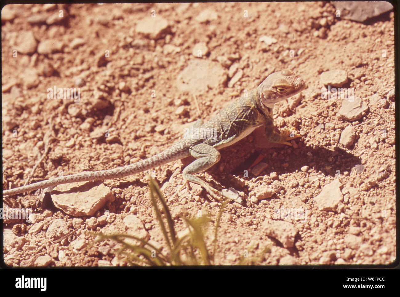 Nucla hi-res stock photography and images - Alamy