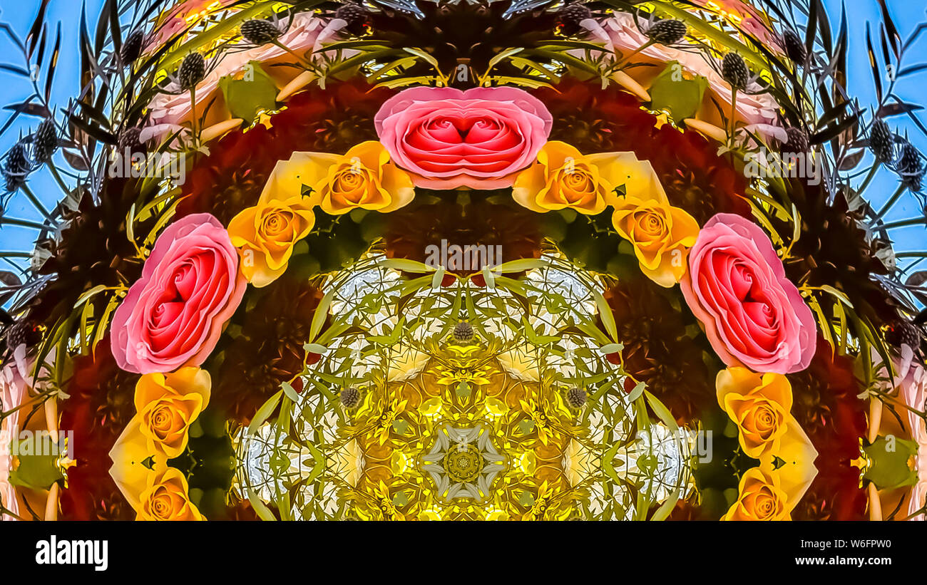 Panorama frame Circular design of roses with green leaves and sky Stock ...