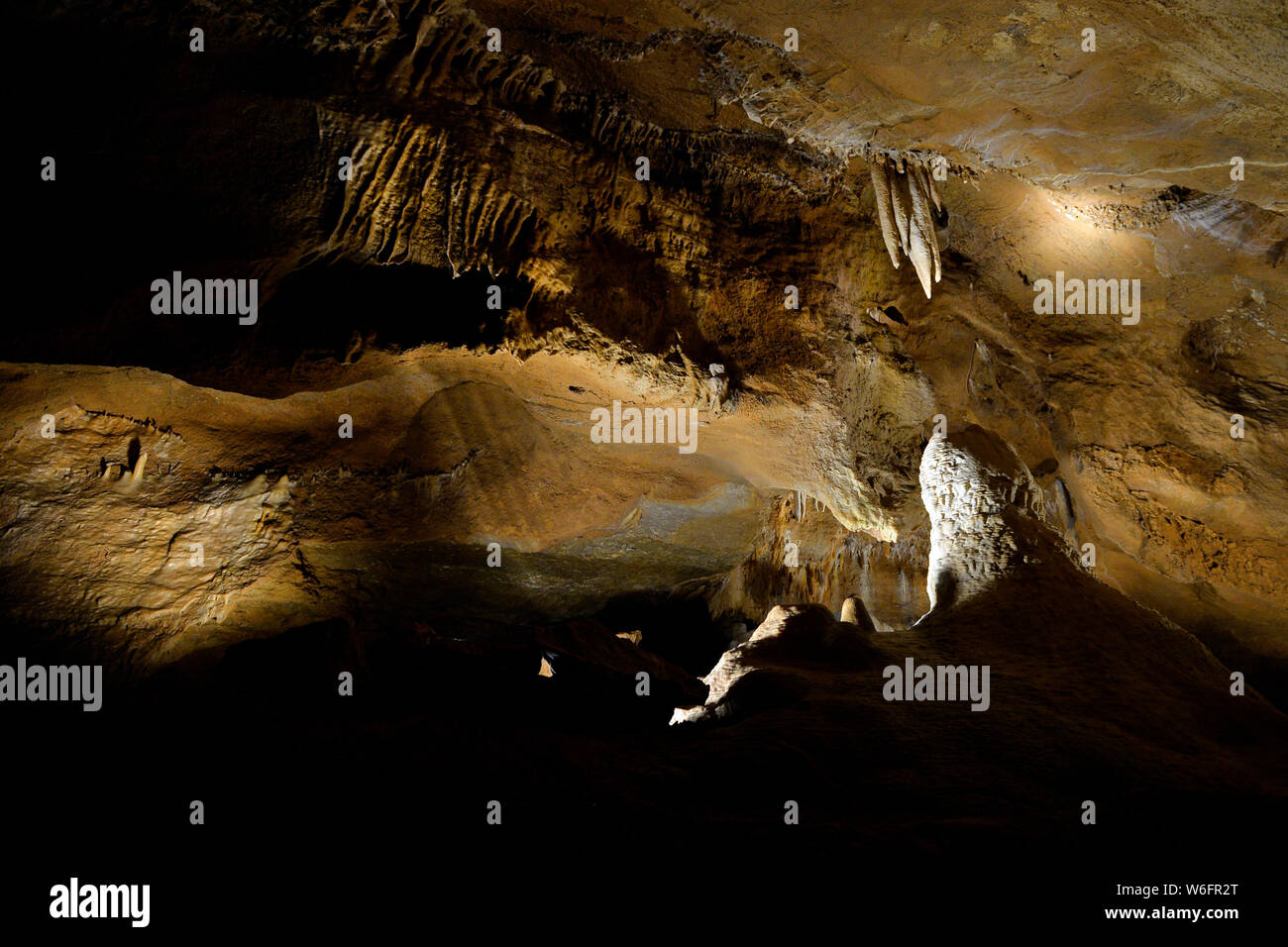 Koneprusy, Czech Republic. 31st July, 2019. A part of the Koneprusy ...