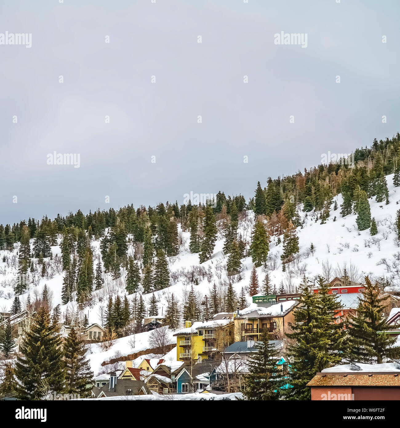 Square Mountain with colorful homes and coniferous trees on its snow ...