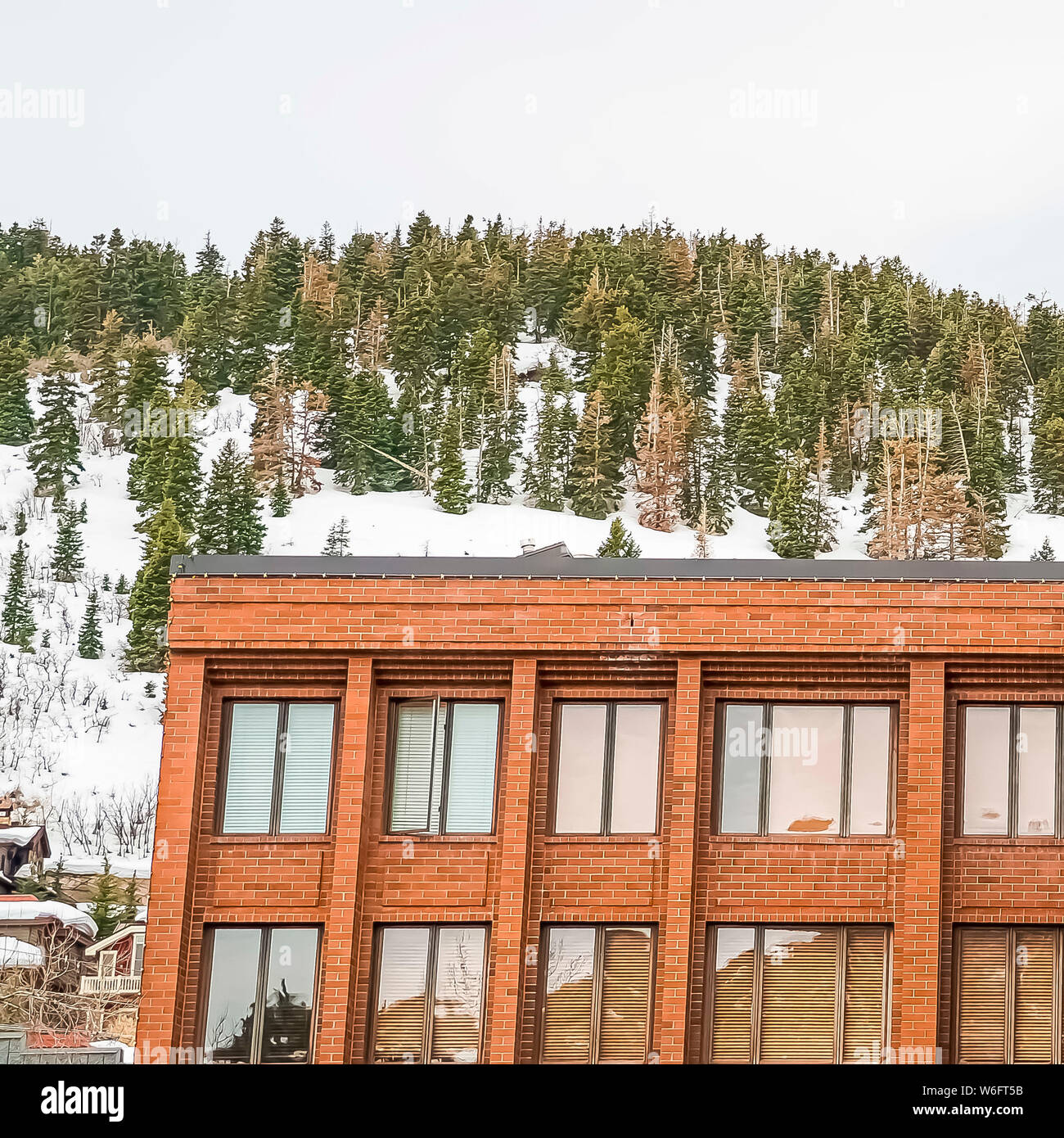 Square Exterior of a building with snowy mountain conifers and cloudy ...