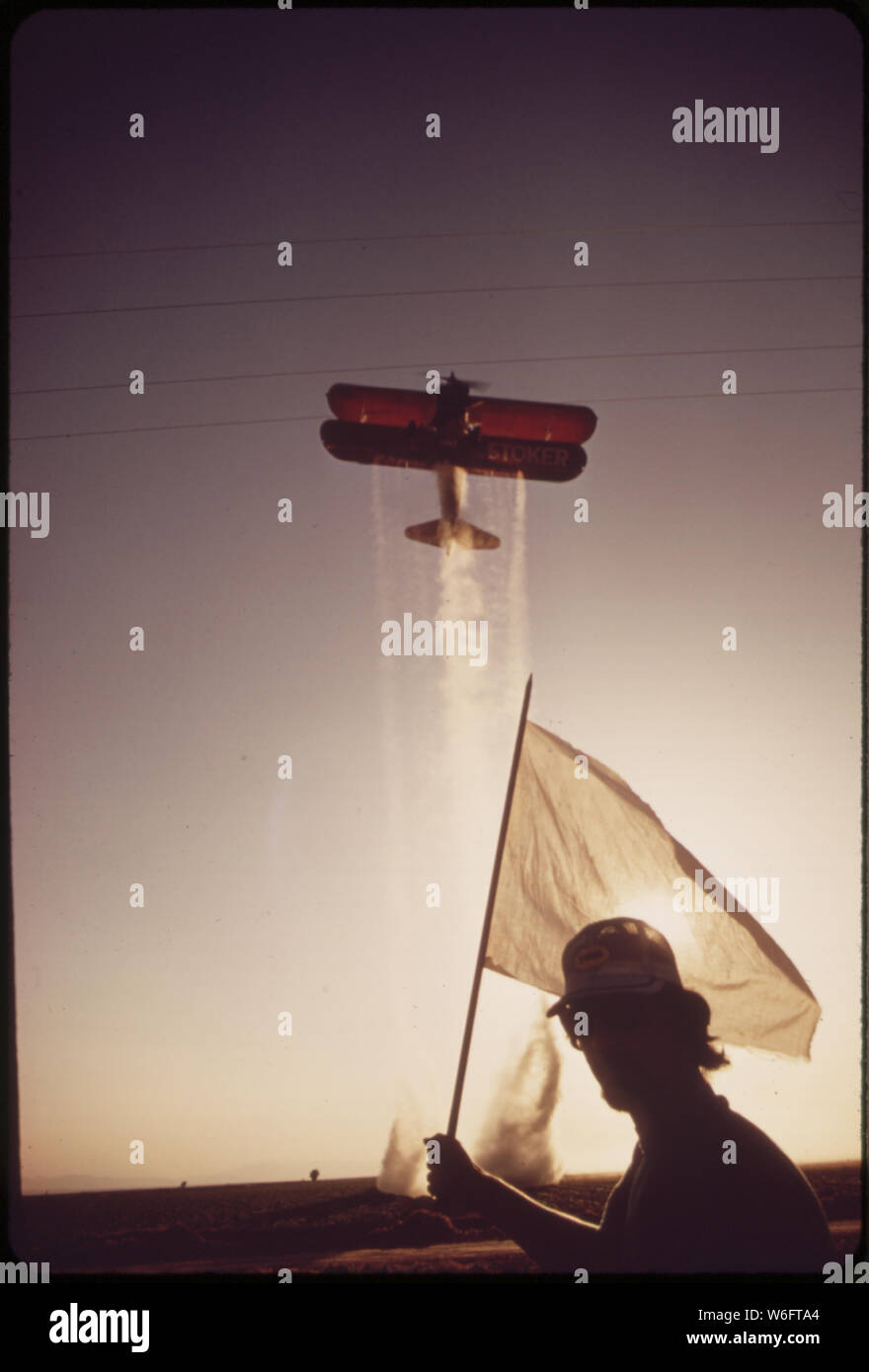 CROP DUSTER PLANE AND FLAG MAN NEAR CALIPATRIA IN THE IMPERIAL VALLEY ...