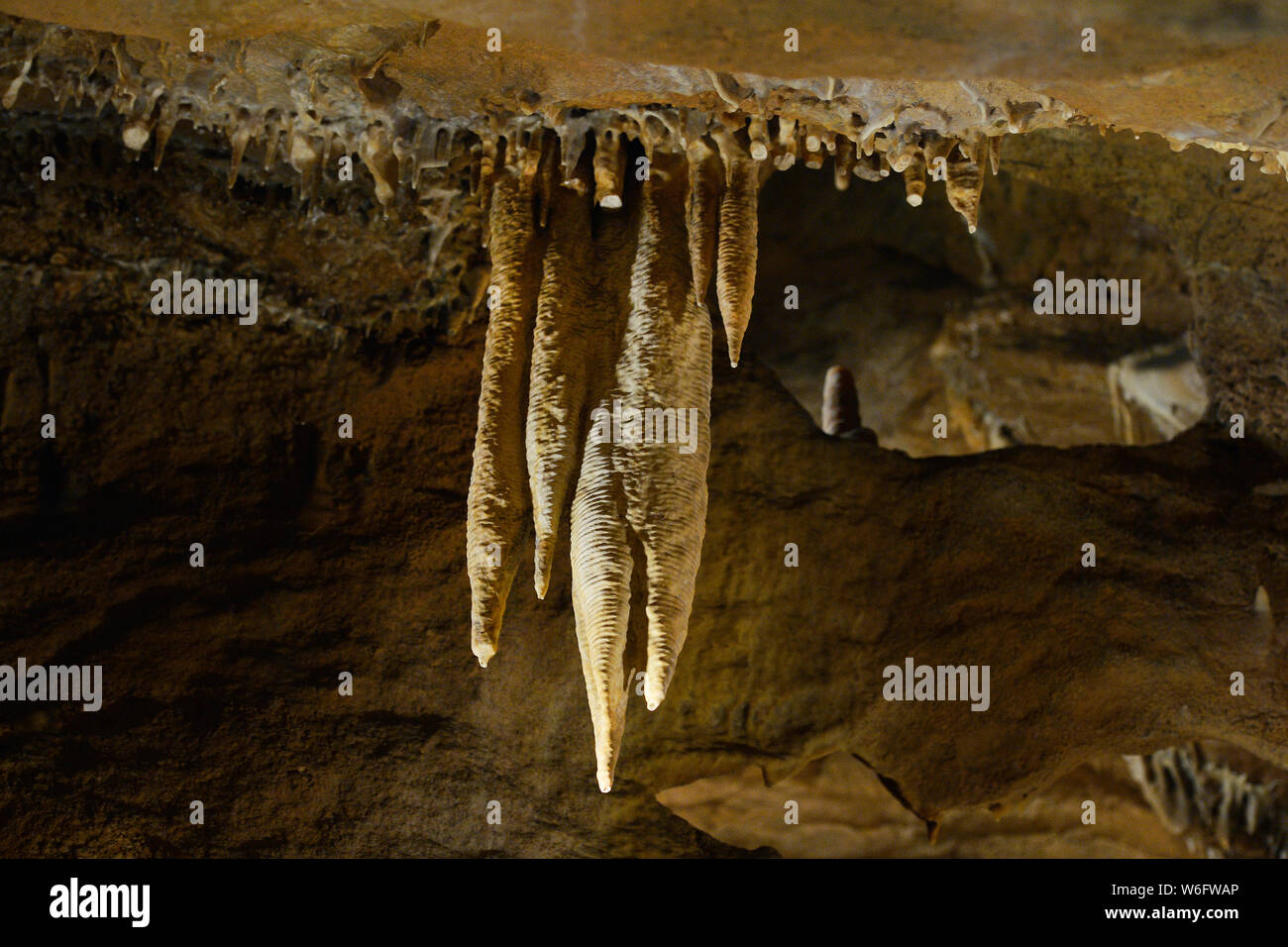 Koneprusy, Czech Republic. 31st July, 2019. A part of the Koneprusy ...