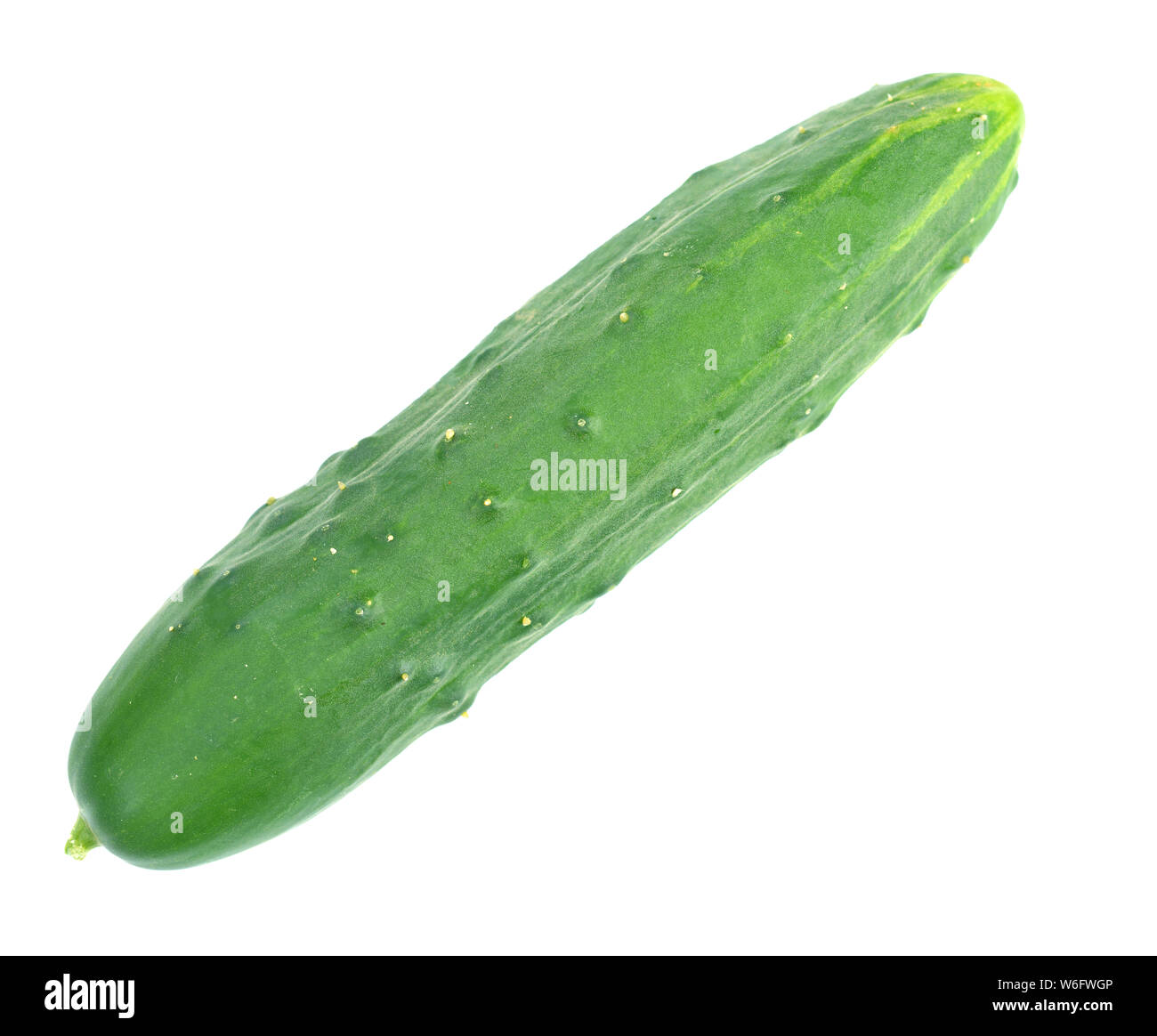 single cucumber isolated on white background Stock Photo - Alamy