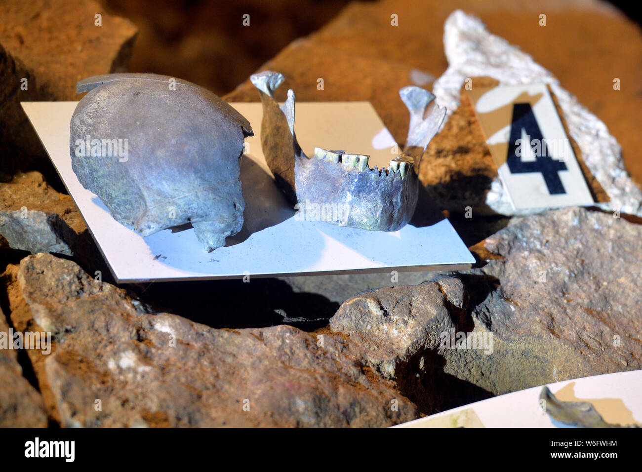 Koneprusy, Czech Republic. 31st July, 2019. A part of the Koneprusy ...