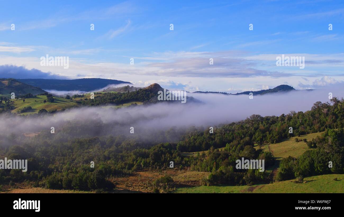 Rainforest deforestation aerial view hi-res stock photography and ...