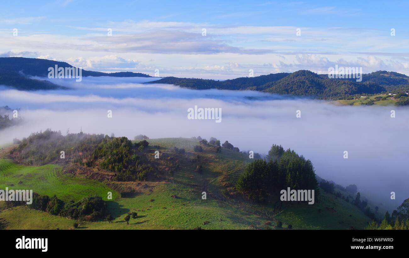 Rainforest deforestation aerial view hi-res stock photography and ...