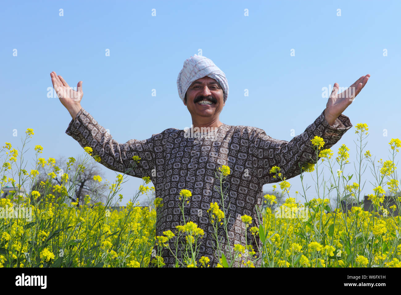 Farmer showing mustard field and smiling Stock Photo - Alamy
