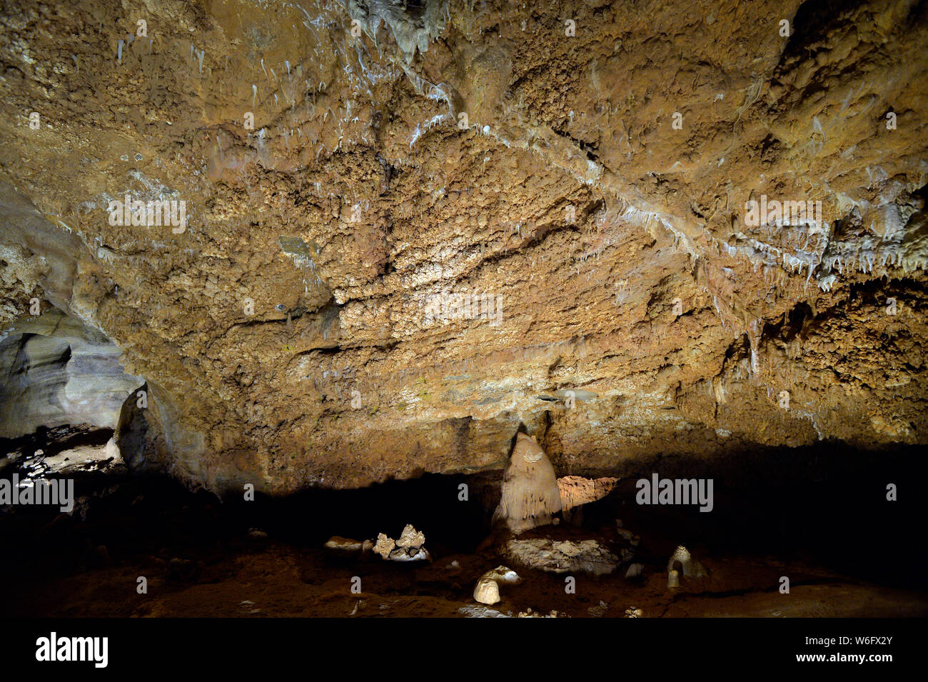 Koneprusy, Czech Republic. 31st July, 2019. A part of the Koneprusy ...