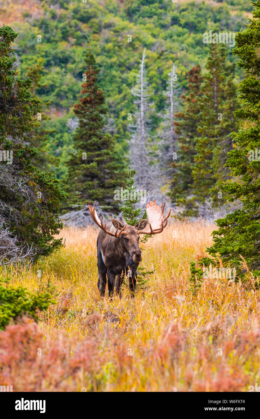 Powerline pass hi-res stock photography and images - Alamy