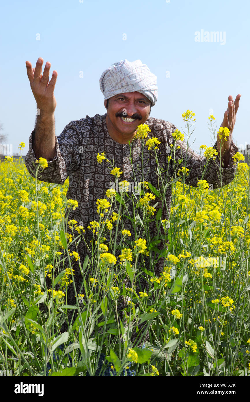 Farmer showing his mustard field Stock Photo - Alamy