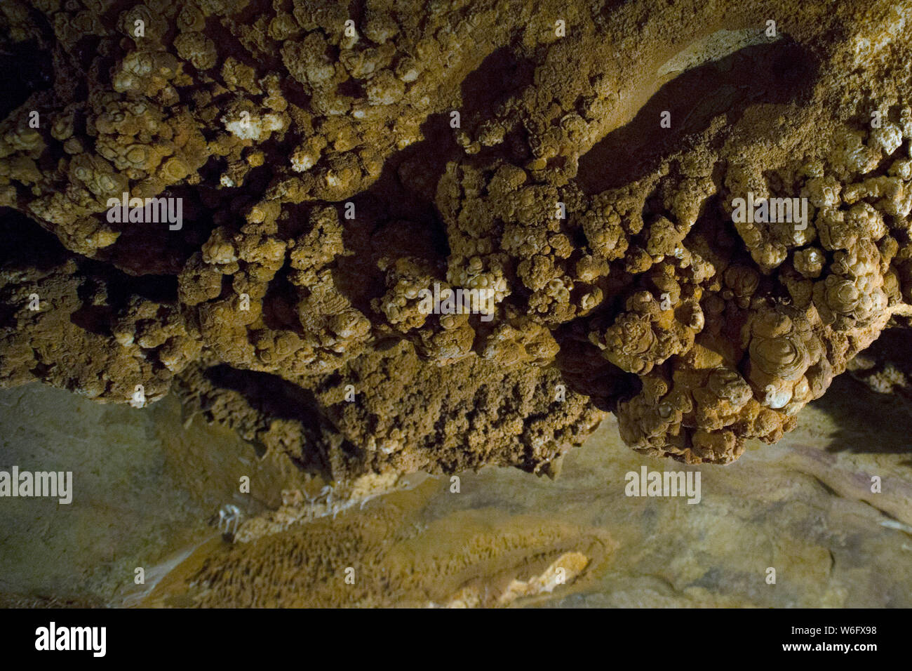 A part of the Koneprusy Caves, cave system of the limestone region ...