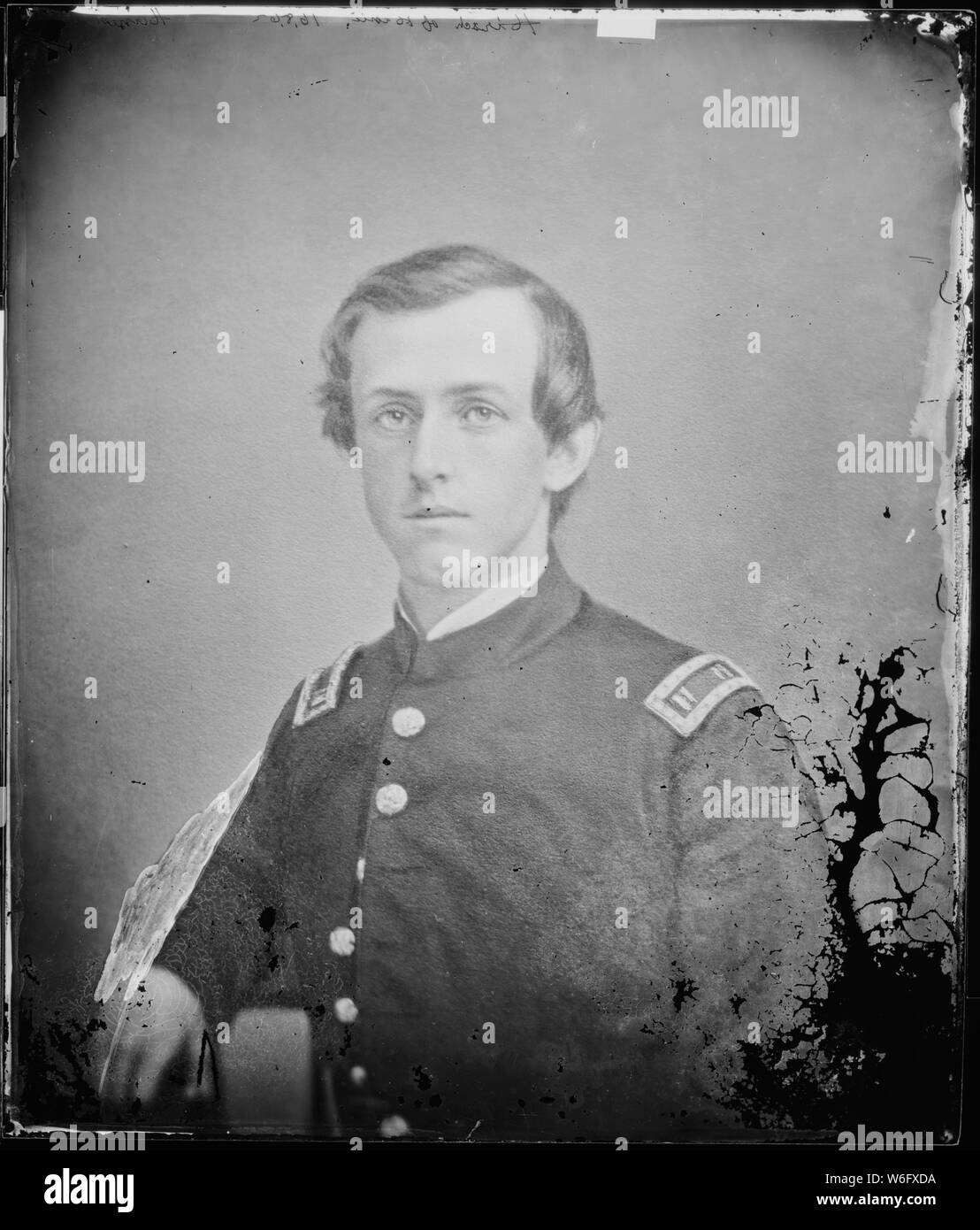 Hirsch Black and White Stock Photos & Images - Alamy