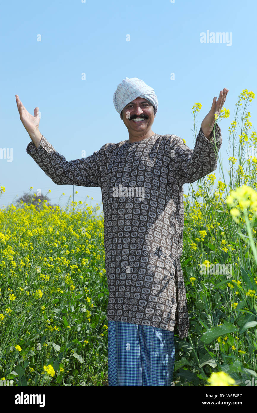Farmer showing mustard field and smiling Stock Photo - Alamy