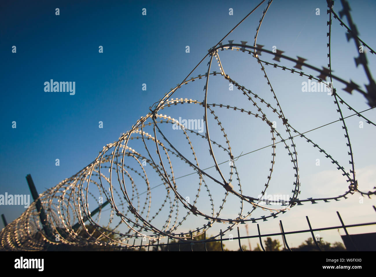 Coiled barbed wire fencing against a blue sky background Stock Photo ...