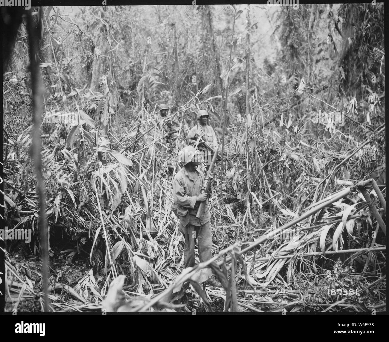 93rd division infantry hi-res stock photography and images - Alamy