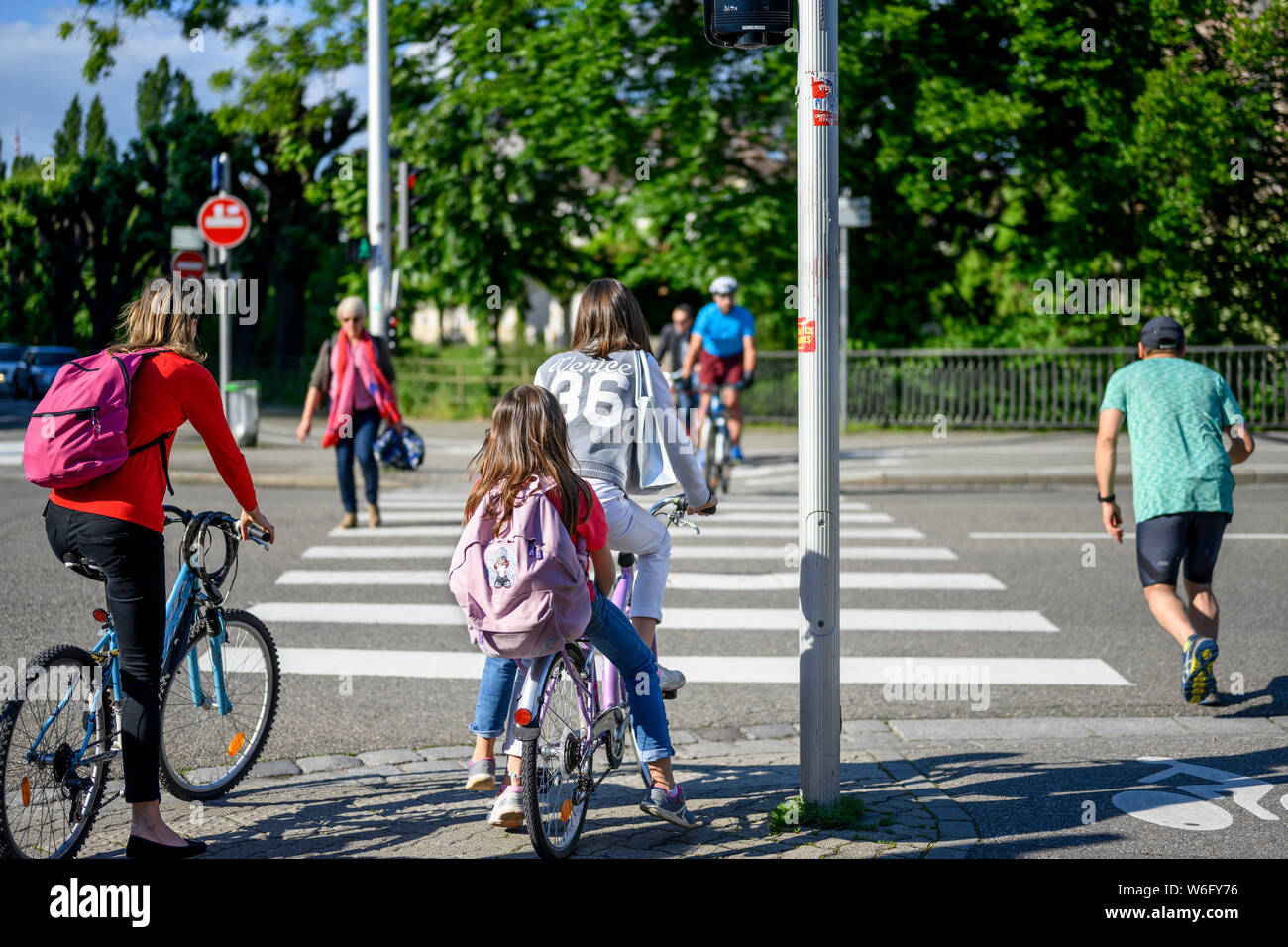 Bicyclists waiting to cross street at crosswalk, pedestrians crossing ...