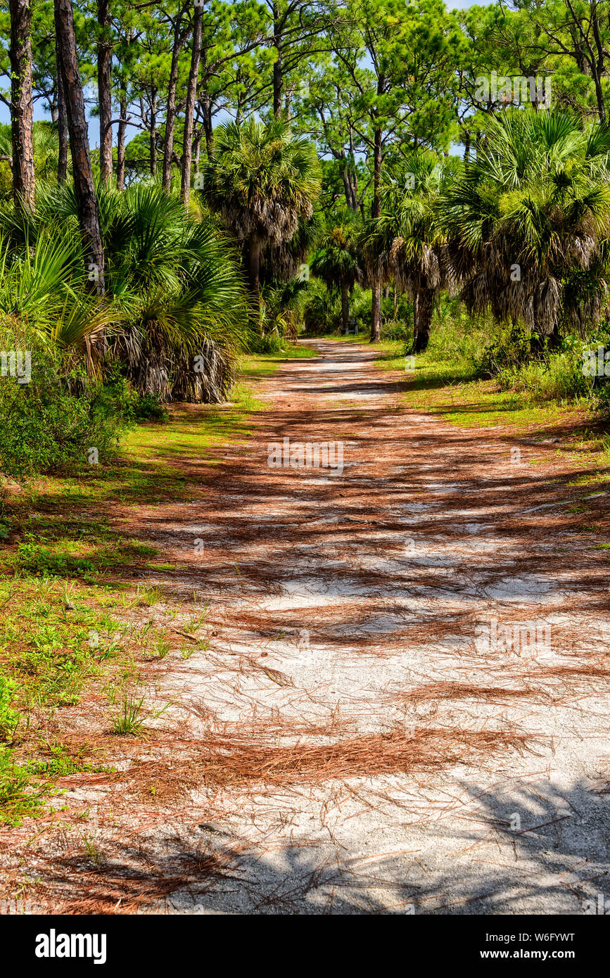 Nature hiking path in northern Florida Stock Photo - Alamy