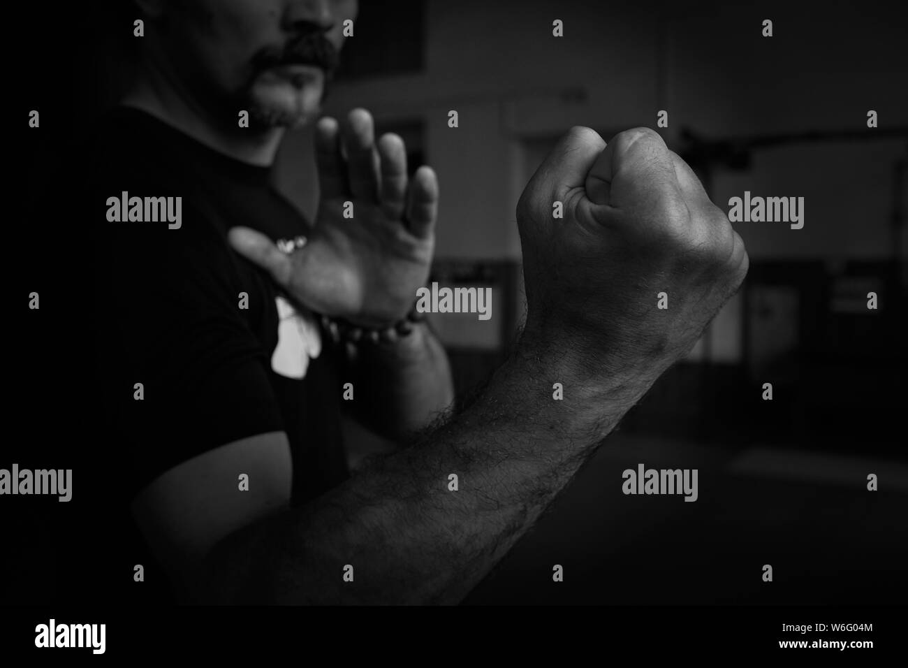 Wushu fight hi-res stock photography and images - Alamy