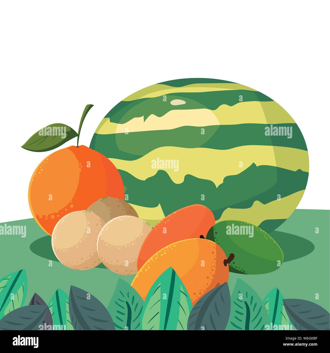orange watermelon mango melon fresh fruits in the field vector ...