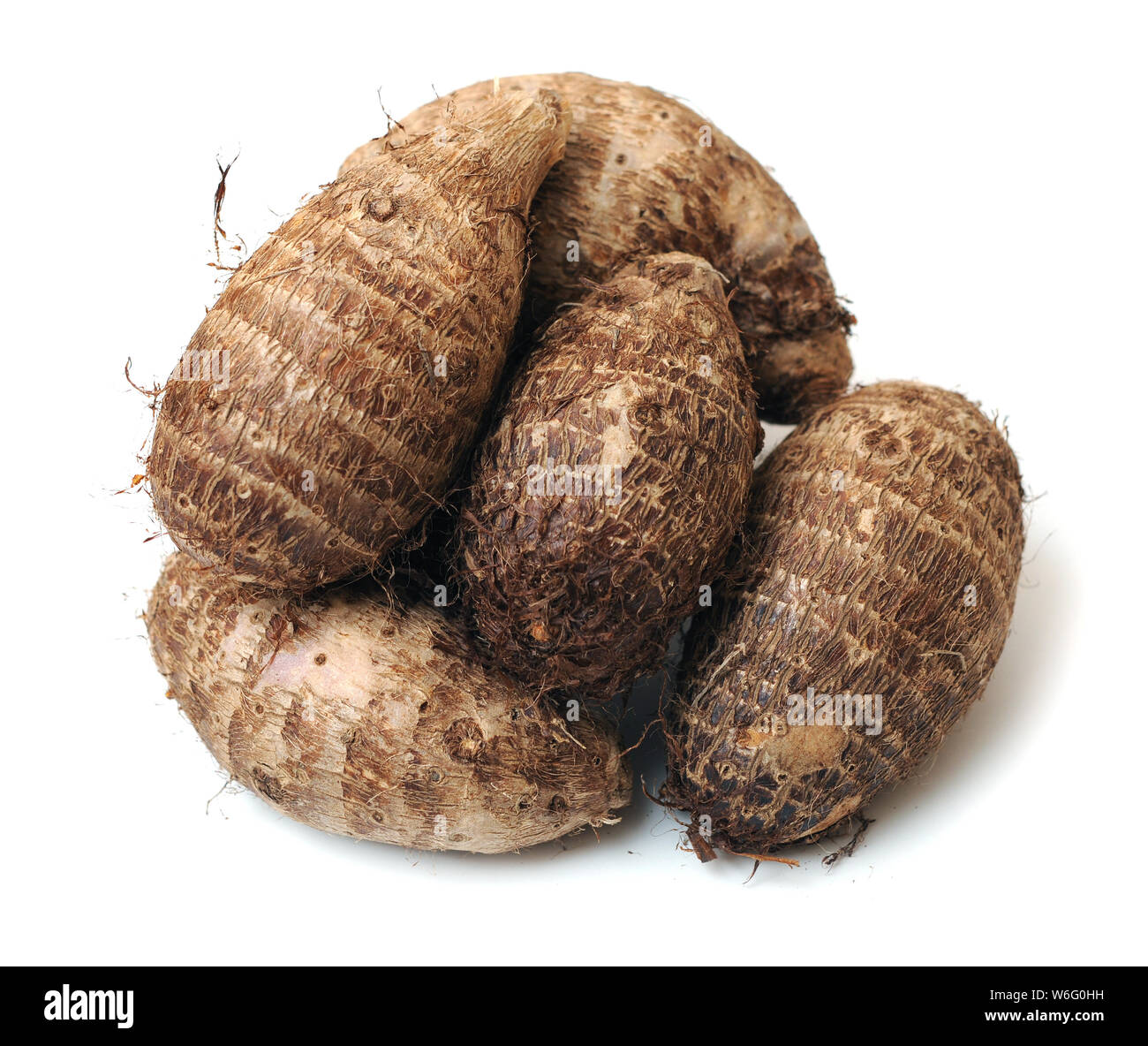 Taro harvest Cut Out Stock Images & Pictures - Alamy