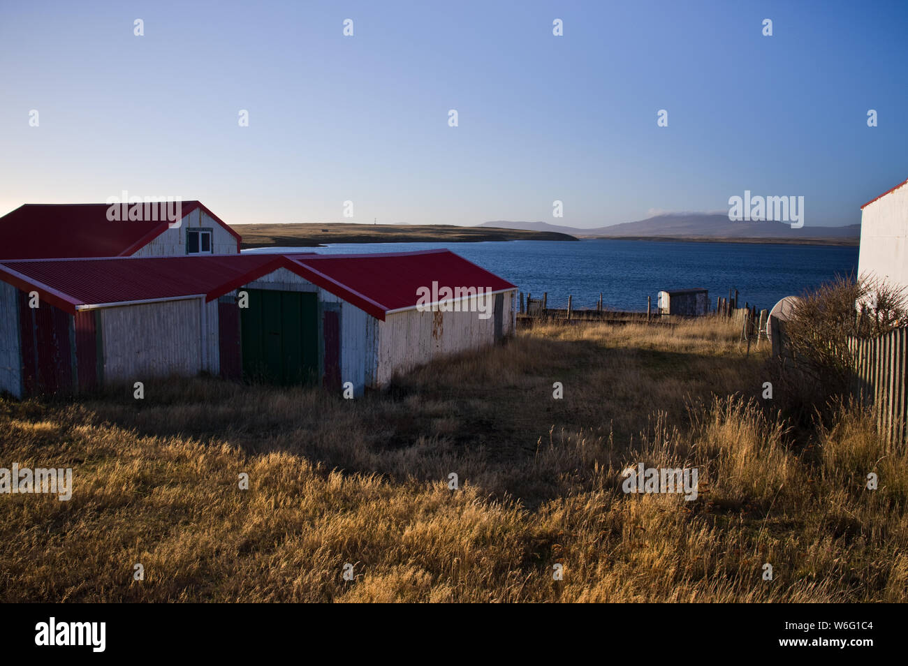 Goose green hi-res stock photography and images - Alamy