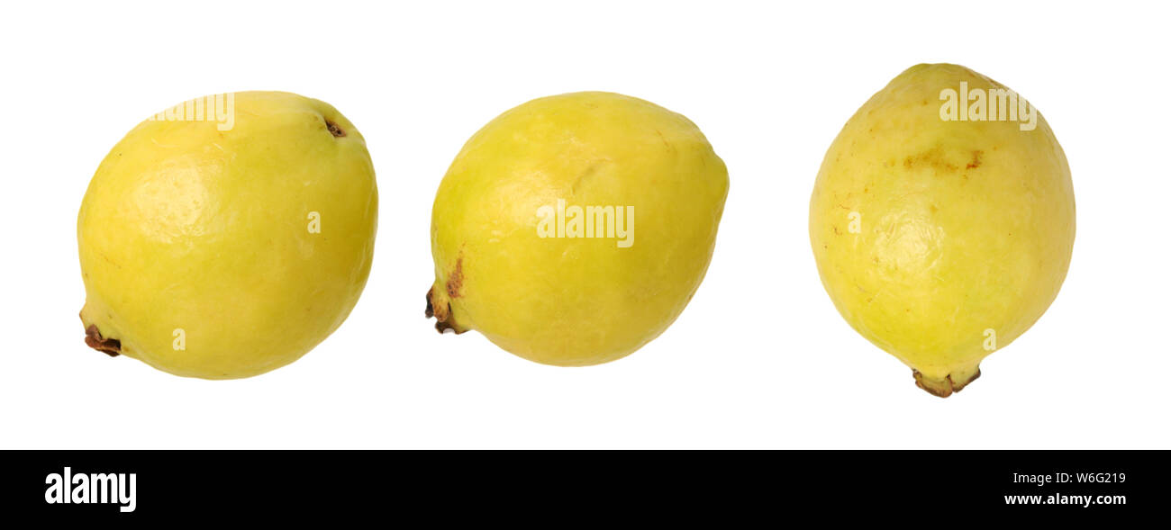 three guava isolated on white background Stock Photo - Alamy