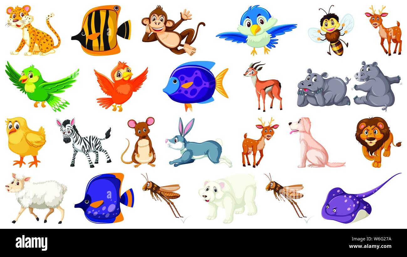 Hippo bear wild animals Cut Out Stock Images & Pictures - Alamy