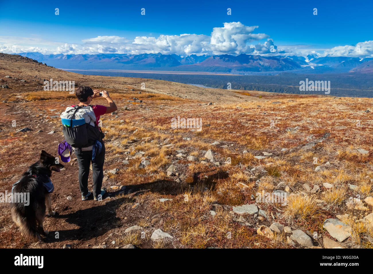 Woman backpacker and her dog pause to take a picture of the Alaska ...