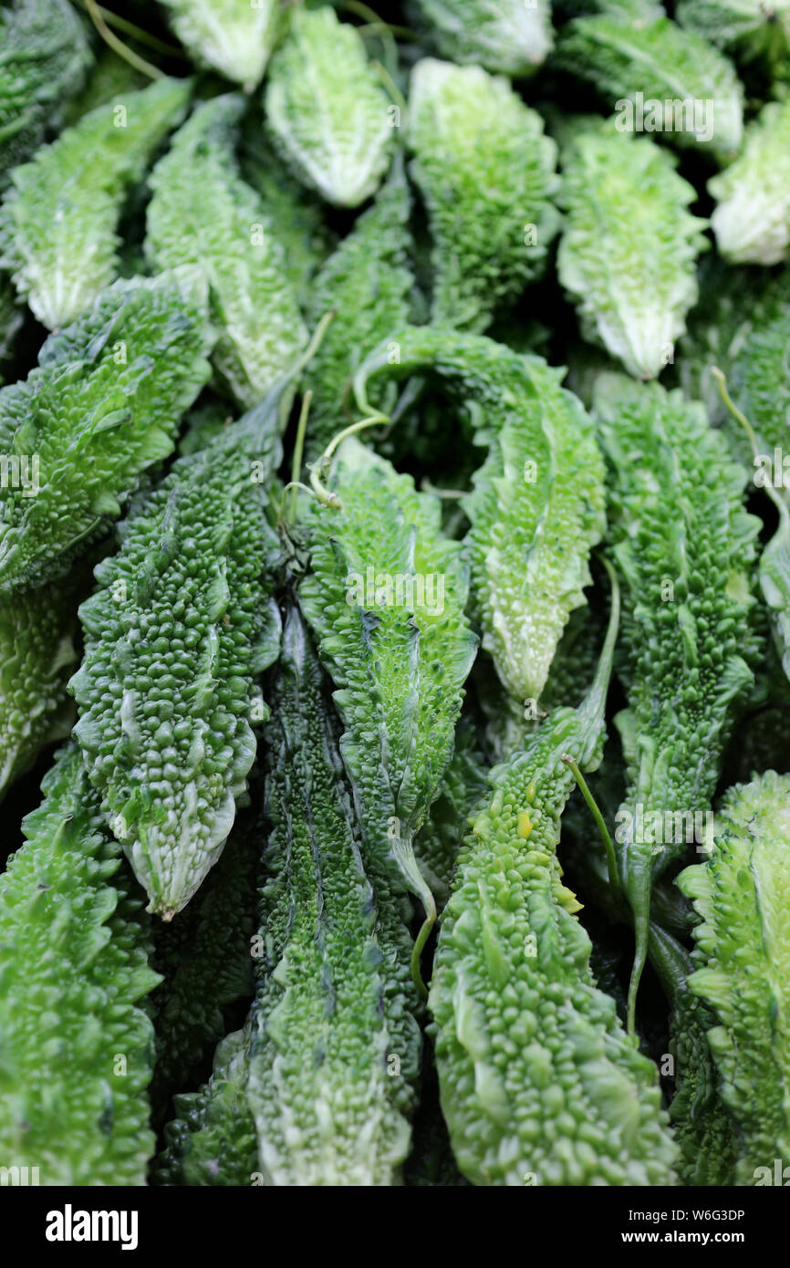 Indian bitter melon hi-res stock photography and images - Alamy