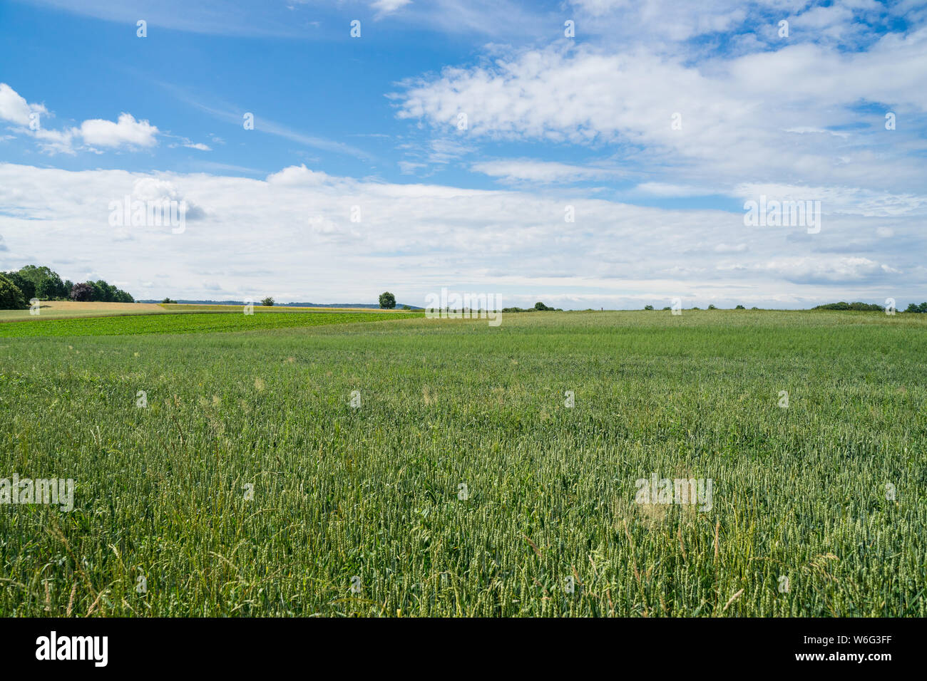 Field and horizon hi-res stock photography and images - Alamy