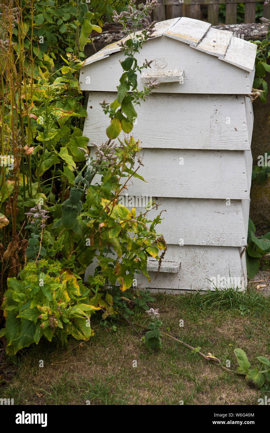 Bees hive white hi-res stock photography and images - Alamy