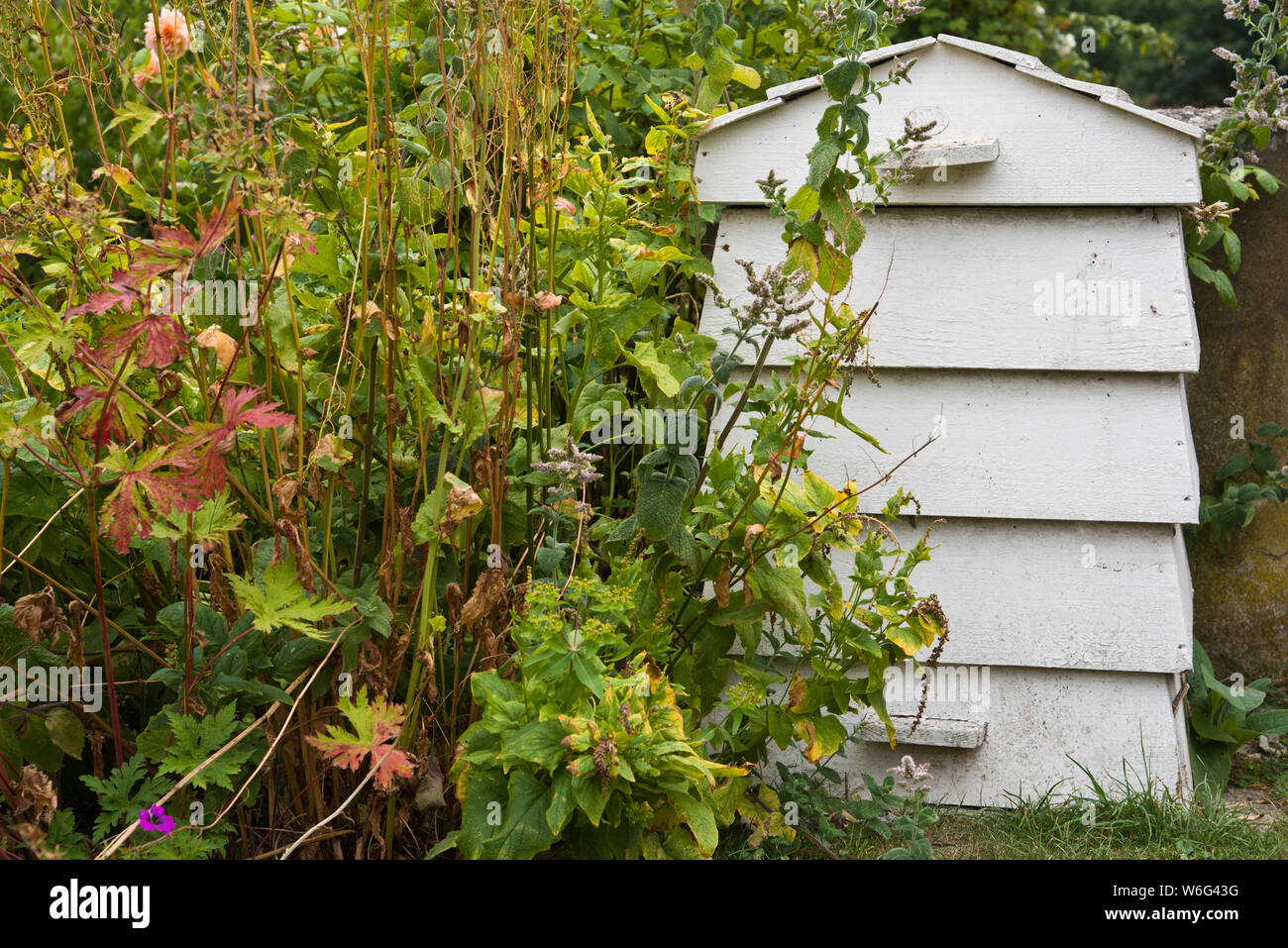 Traditional beekeeping hi-res stock photography and images - Alamy