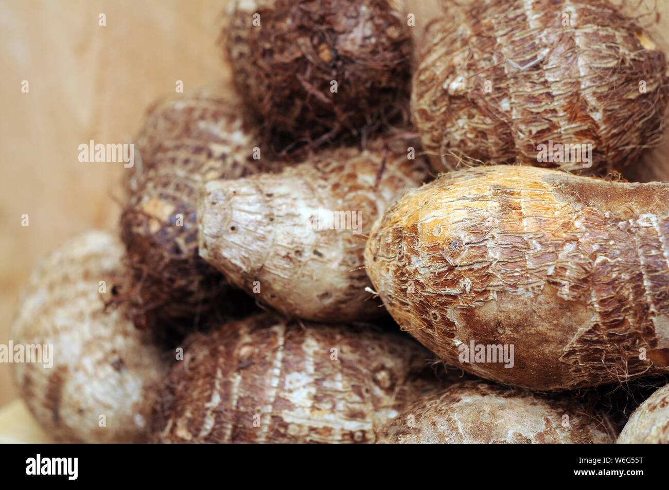 a group of taro on wooden shelf Stock Photo - Alamy