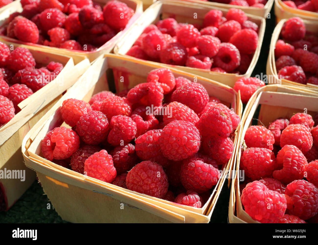 Raspberry sweet sunshine hi-res stock photography and images - Alamy