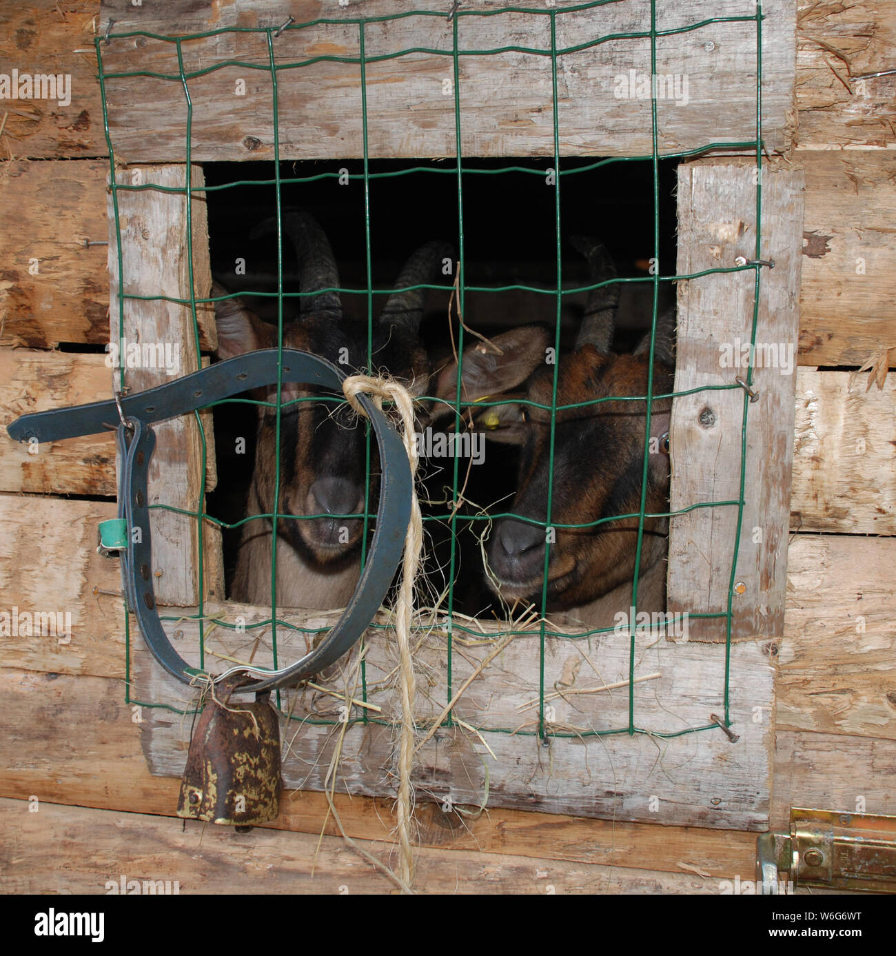Goat huts hi-res stock photography and images - Alamy