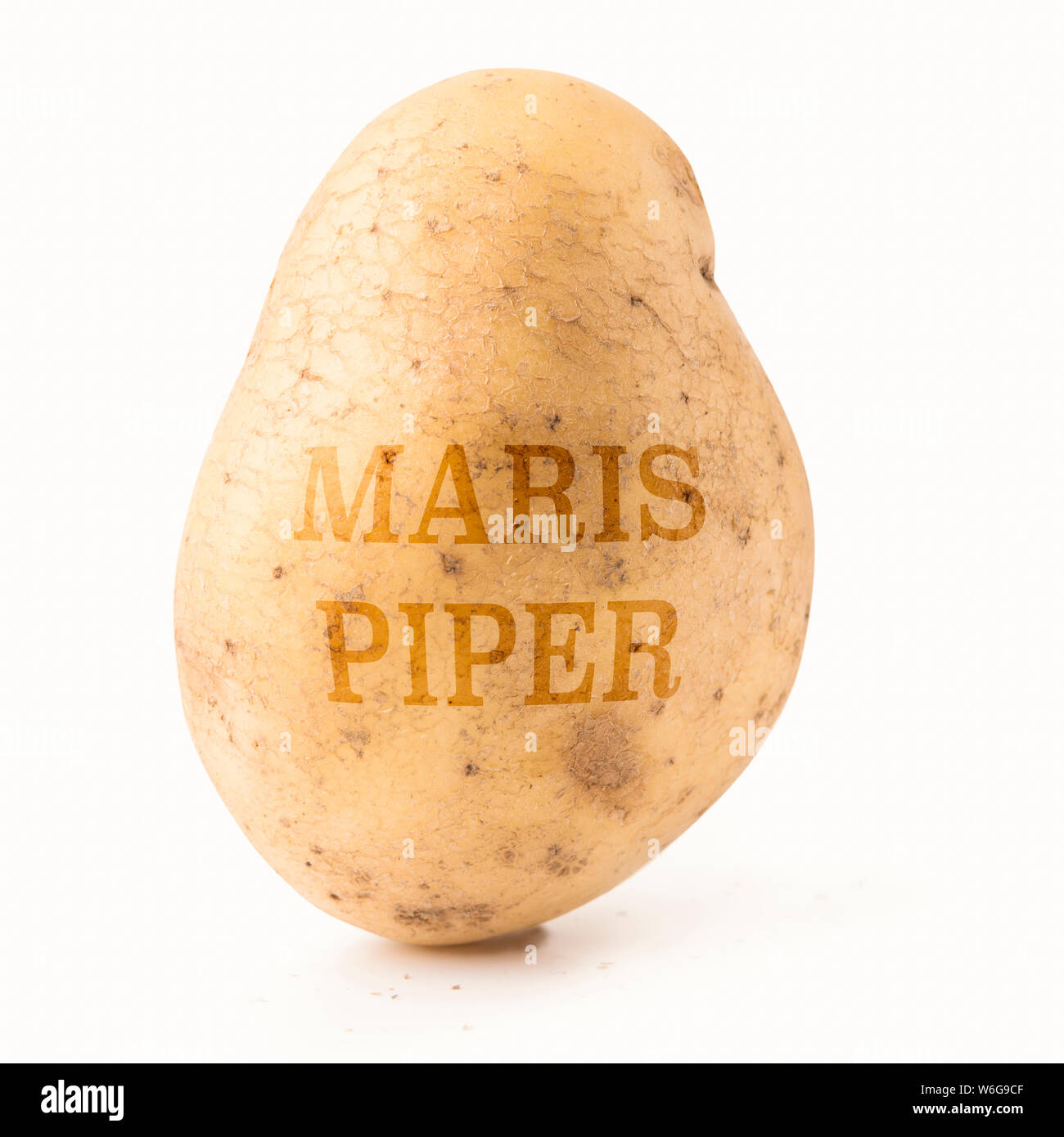 Single Maris Piper potato on white with text overlay Stock Photo - Alamy