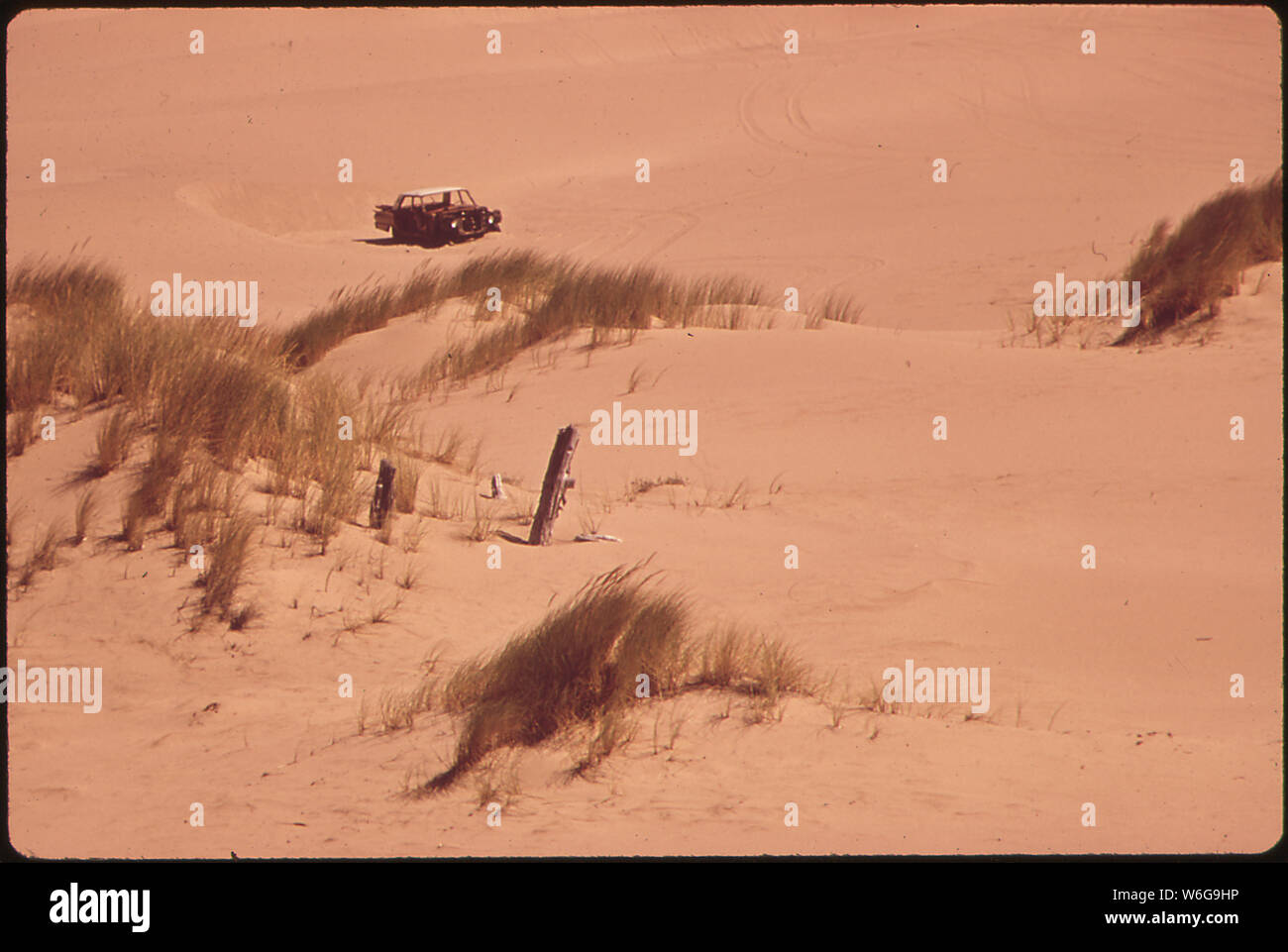 DUNE BUGGY IN NEW NATIONAL SEASHORE PARK, SIMPSON REEF Stock Photo - Alamy
