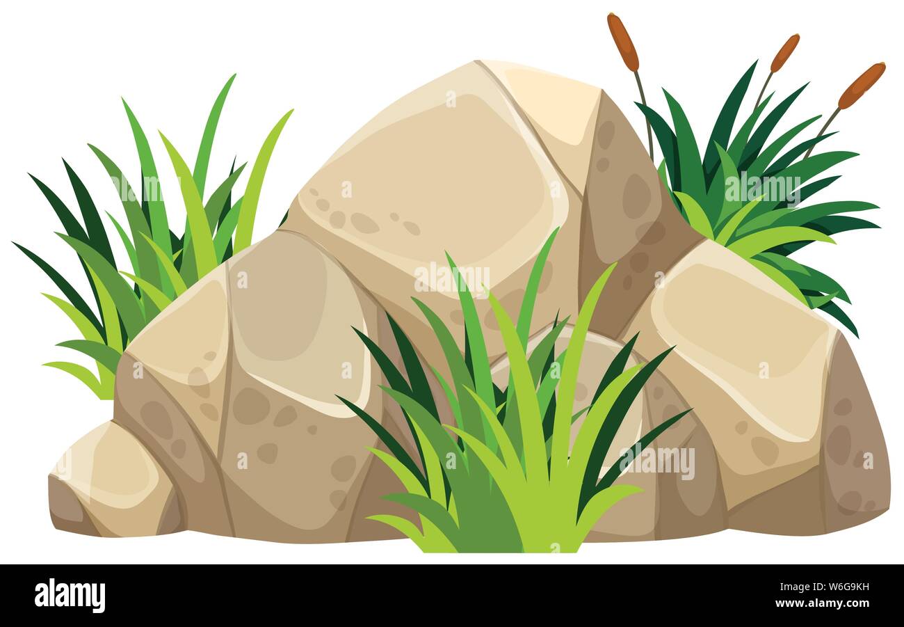 Brown rock with green grass on top illustration Stock Vector Image ...