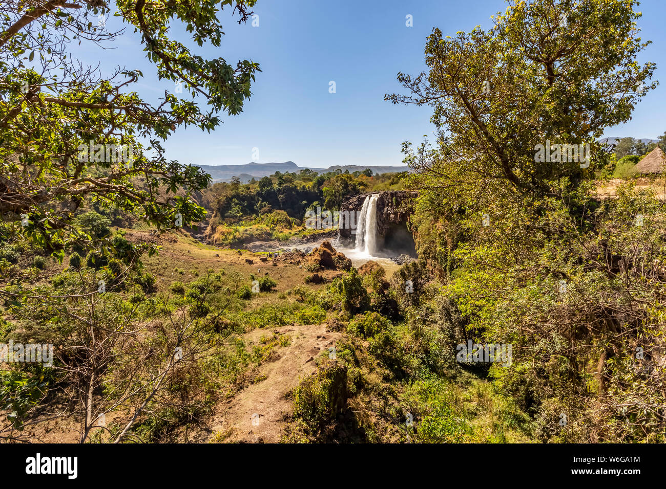 Tis Abay (Blue Nile Falls); Amhara Region, Ethiopia Stock Photo - Alamy