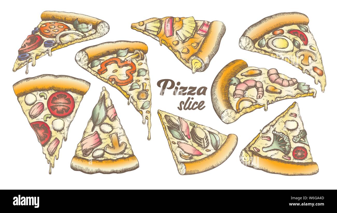Color Assortment Different Slice Pizza Set Ink Vector Stock Vector ...