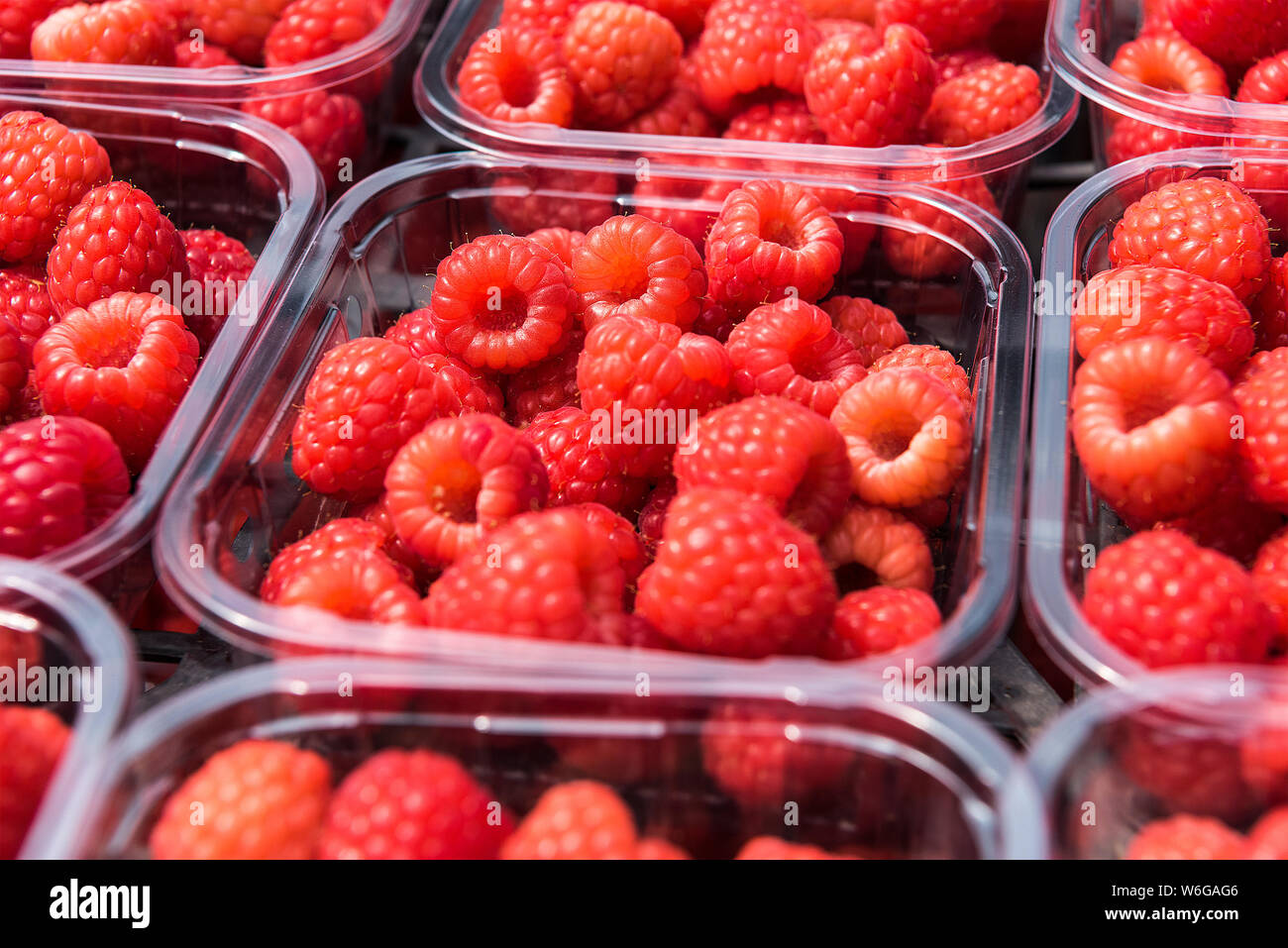 Raspberries in plastic punnets Stock Photo - Alamy