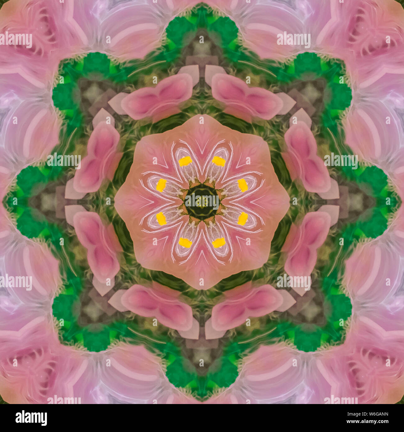 Square Feathers creating a very colorful pattern circular Stock Photo ...