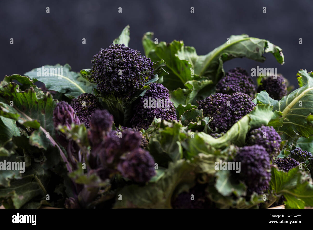 Purple sprouting broccoli Stock Photo - Alamy