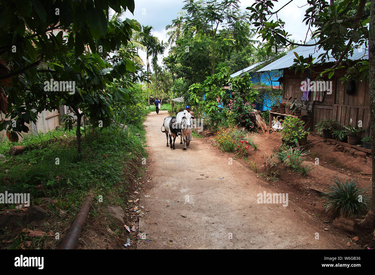 The life in Village of Indonesia Stock Photo - Alamy
