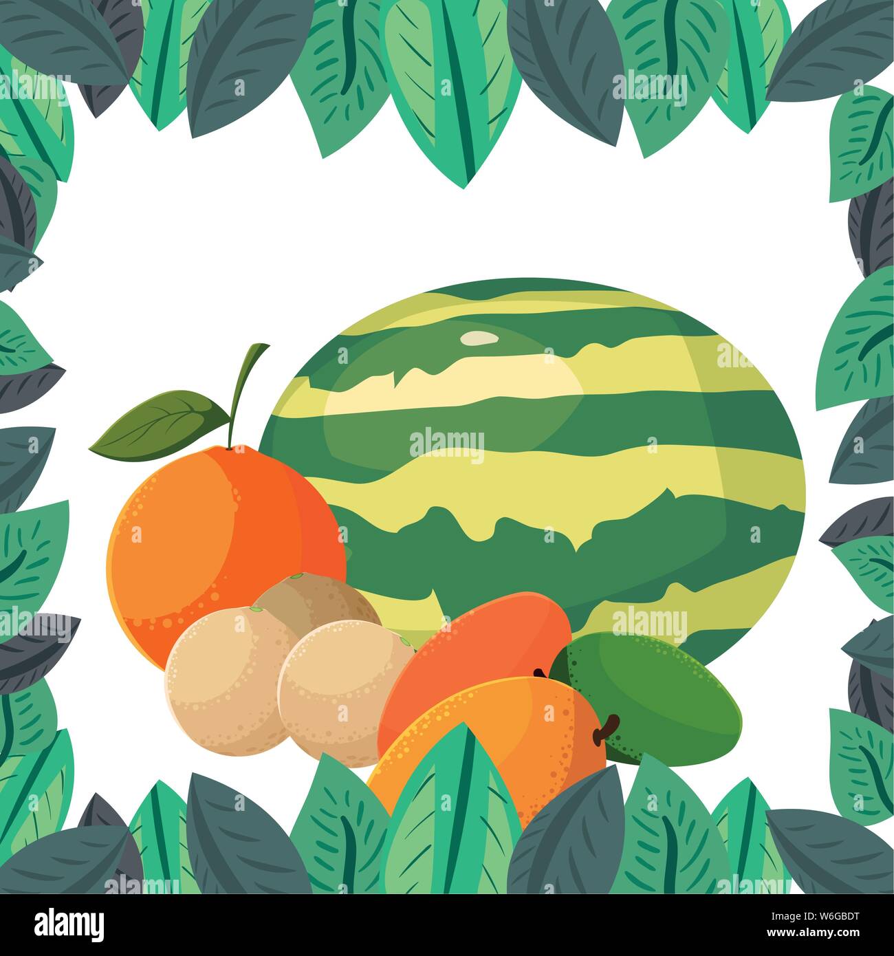 watermelon orange melon mango fresh fruits foliage frame vector ...